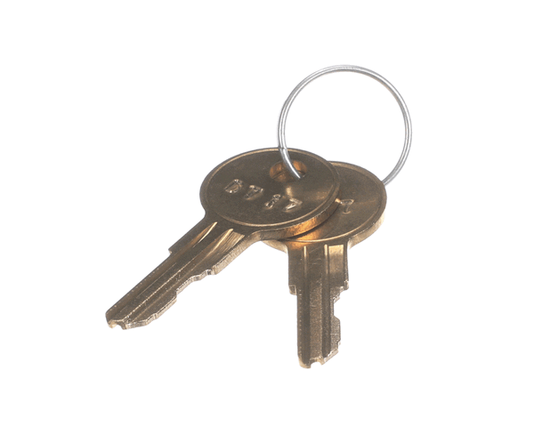 Detex Dt17Key Key (DTXDT17KEY) – GoodEarth Health